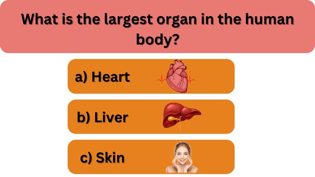 What's REALLY Happening Inside Your Body Right Now? - YouTube
