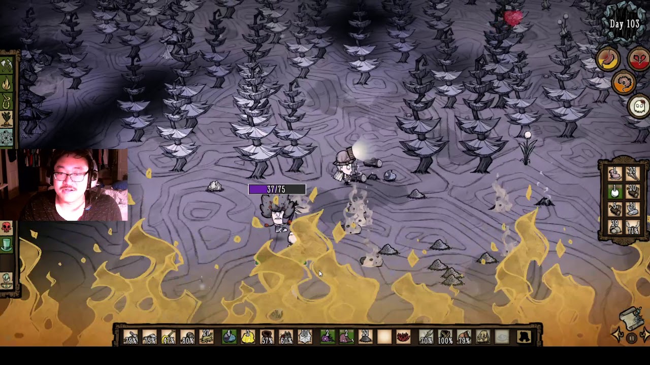 DST - Wayne the insane mushtree arsonist - YouTube