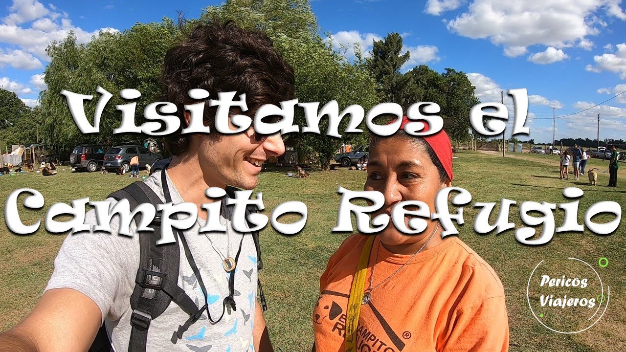 ¿CÓMO es un REFUGIO🏡de PERROS?🐕 | El CAMPITO REFUGIO - YouTube