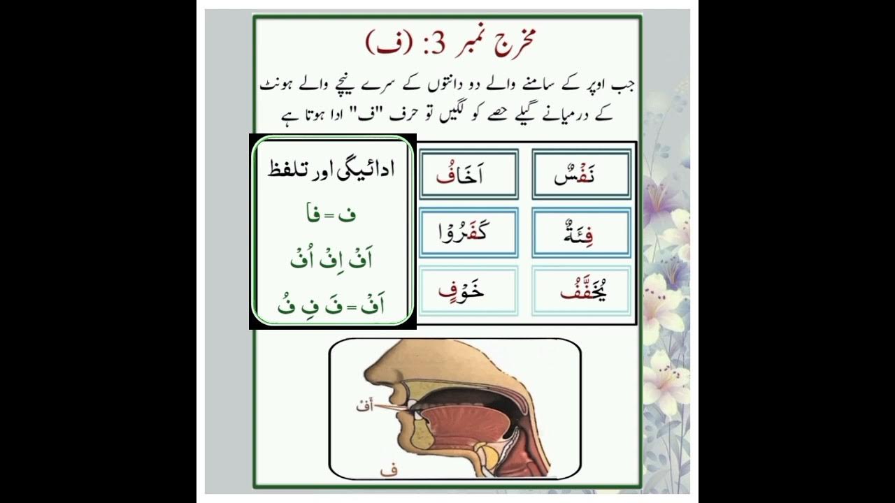 Detailed Course Lesson 11🔸️مخرج نمبر 3 اَلشَّفَتَانف 🔹️مخرج نمبر 4اَلْجَوْف Youtube