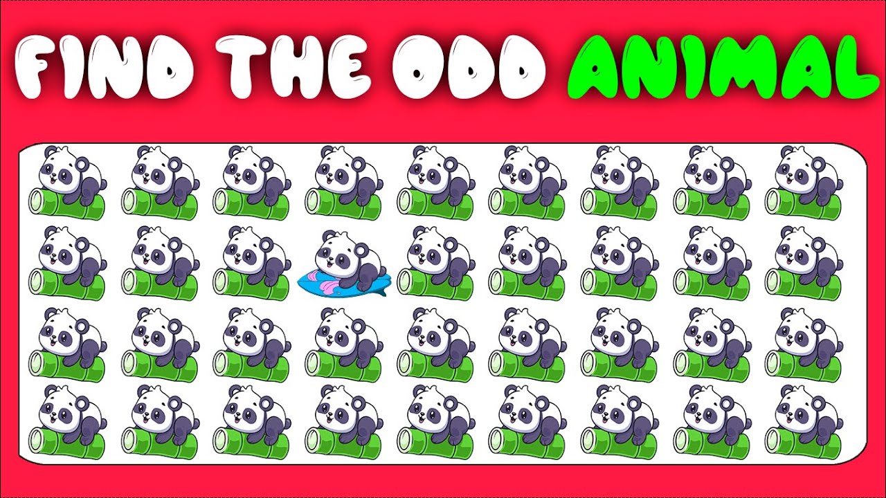 Find the ODD One Out - Animal Edition 🦝 🐠 🐣 - YouTube