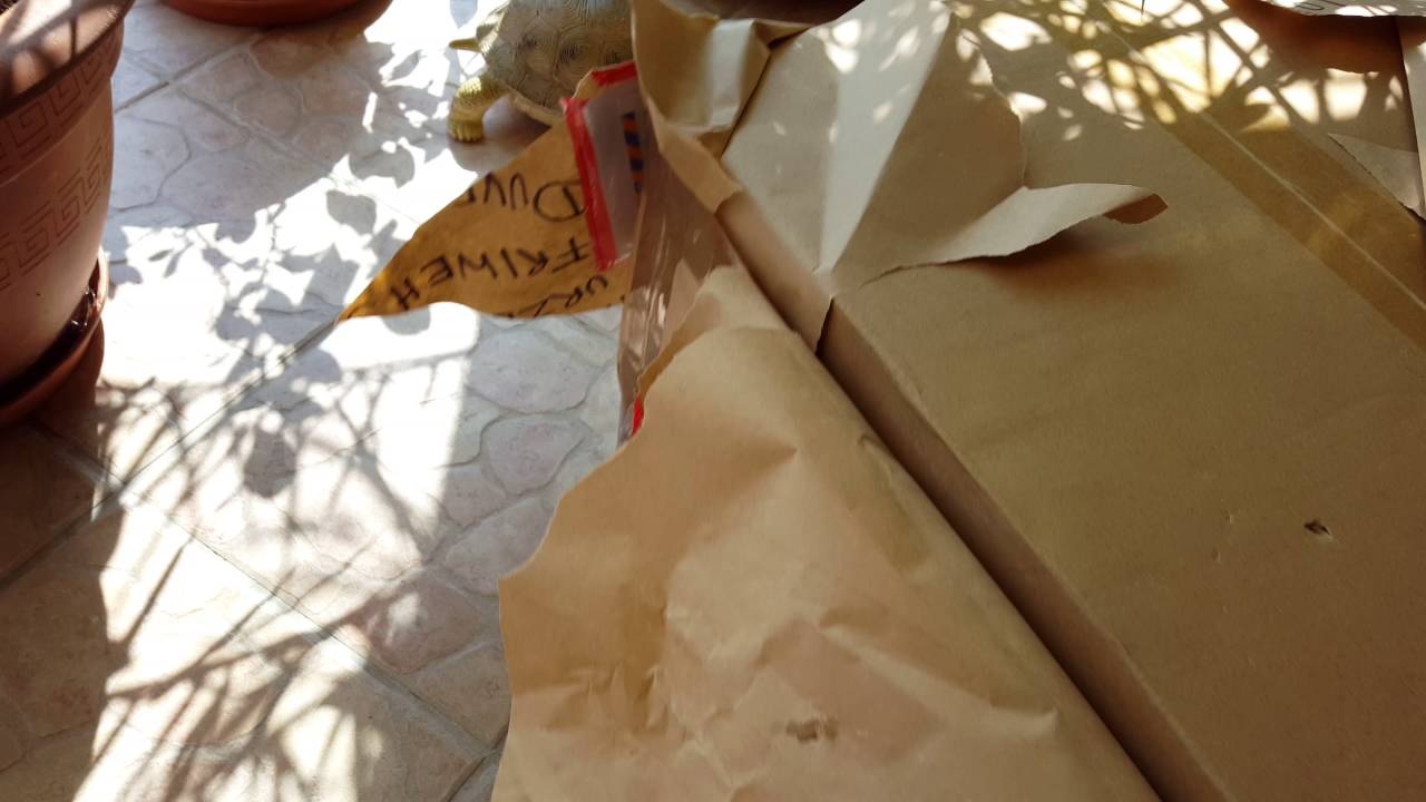 Unboxing Banjo (Australovenator von AAoD) - YouTube