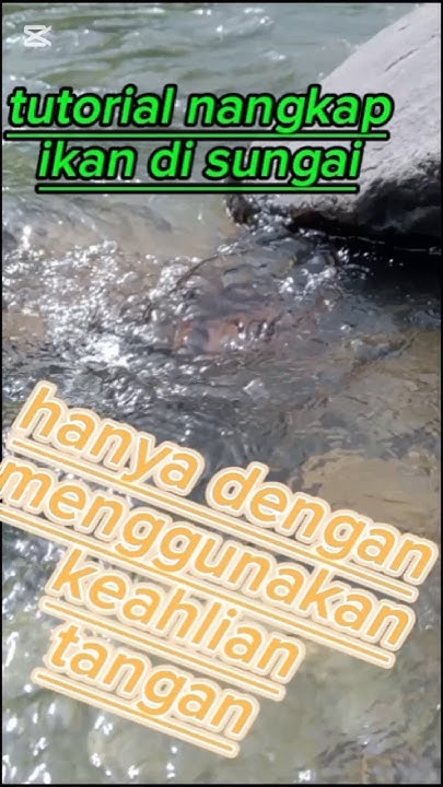 Cara menangkap ikan dengan mudah - YouTube