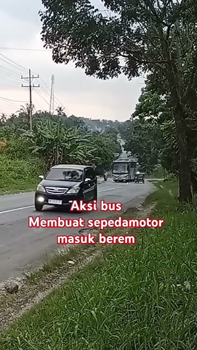 Bus PT RAPI...#shorts #short #tanjakkankuburancina #bus - YouTube