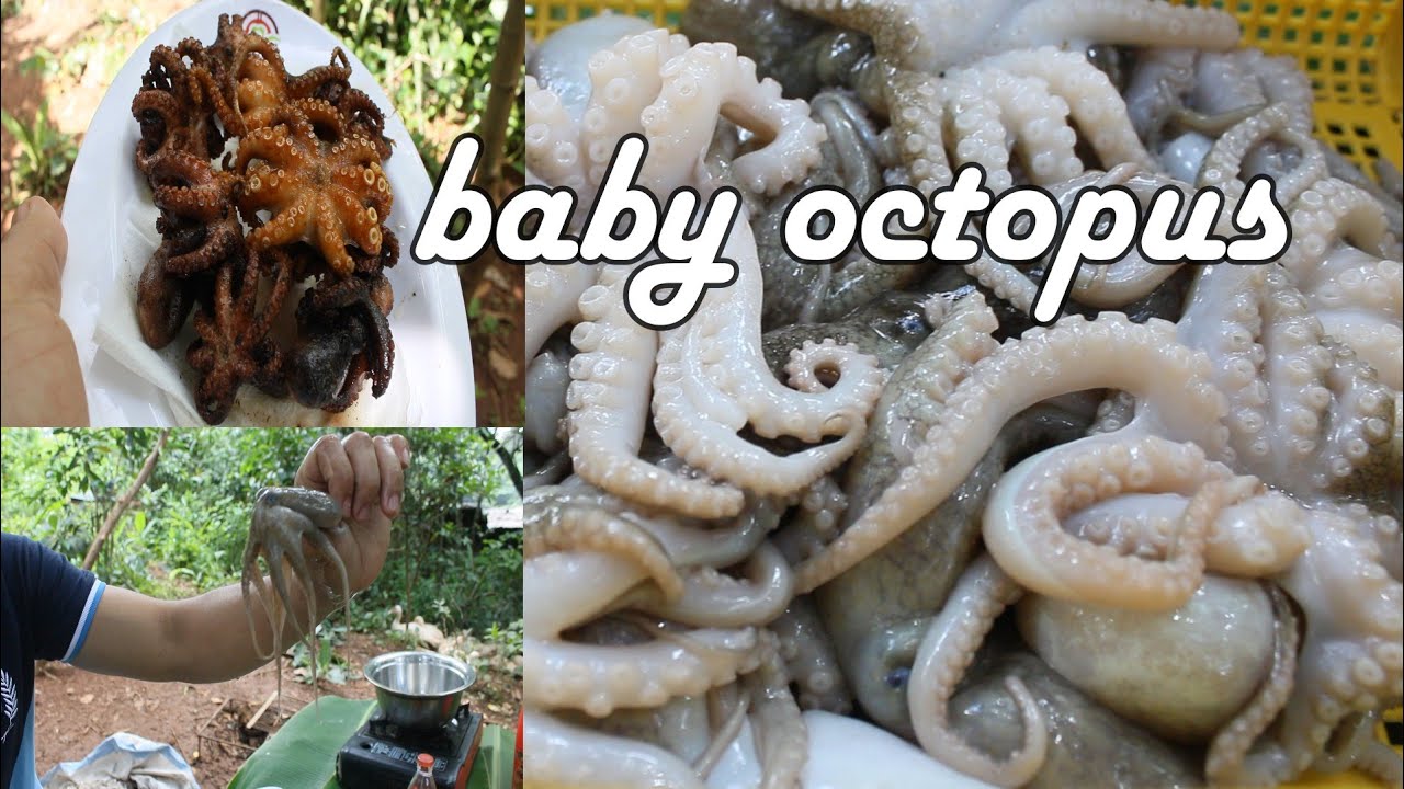 baby octopus || the simpliest way to cook young octopus! - YouTube