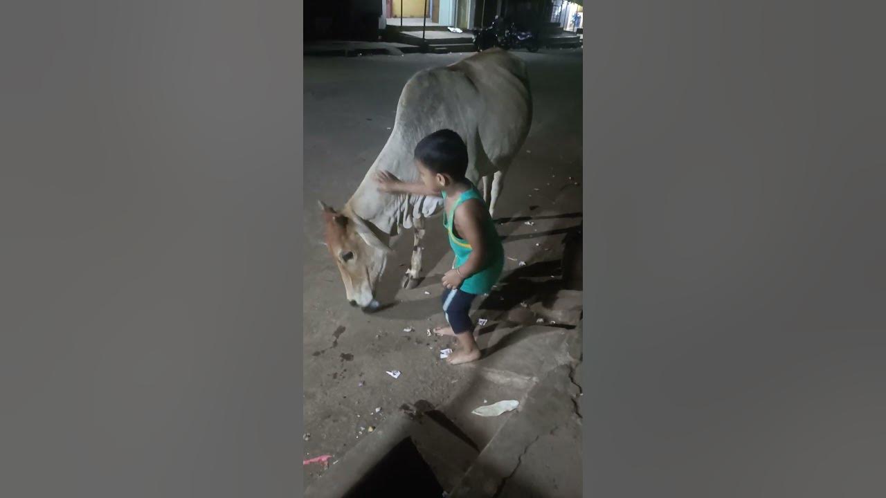 My cutie santu, chulbuli... - YouTube