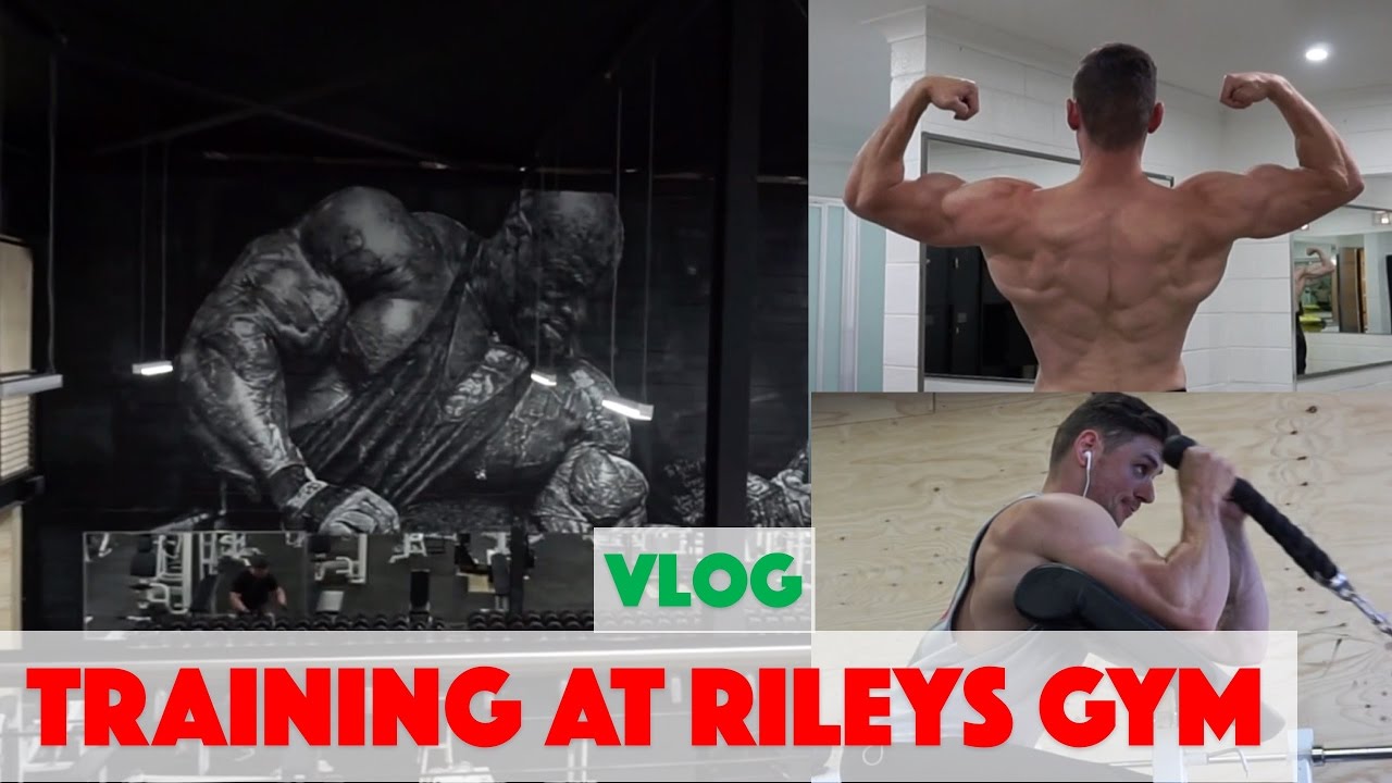 Training @ Rileys Gym | VLOG + truePre workout. - YouTube
