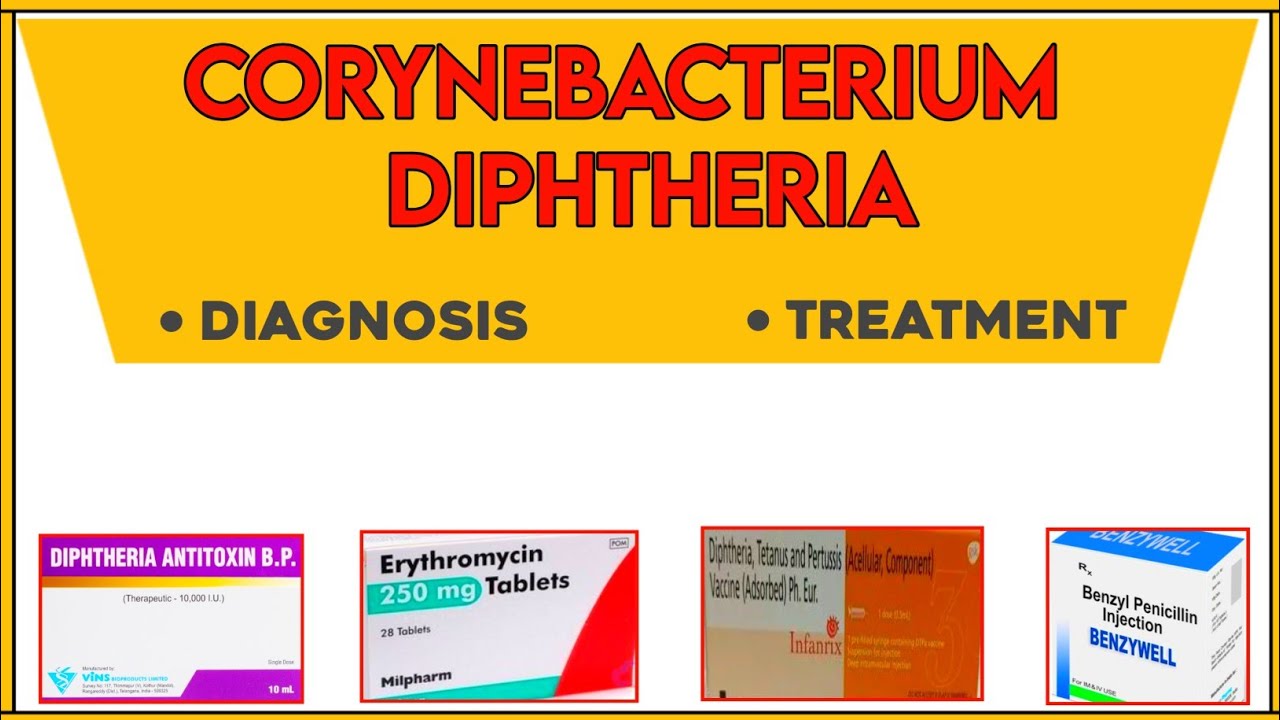 Diphtheria / Diagnosis / treatment / complications - YouTube