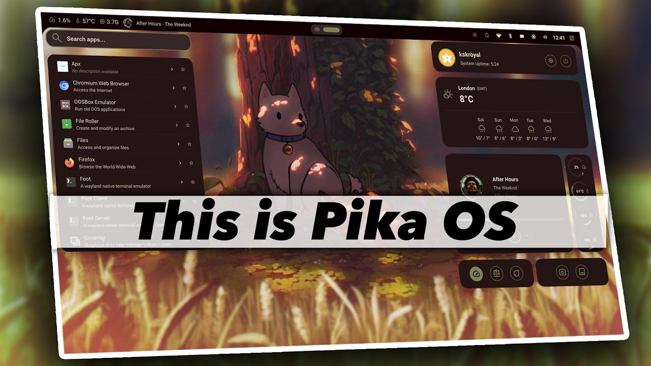 This is PIKA OS FOR GAMING (Ft. HYPRLAND NOCTALIA Shell) - YouTube