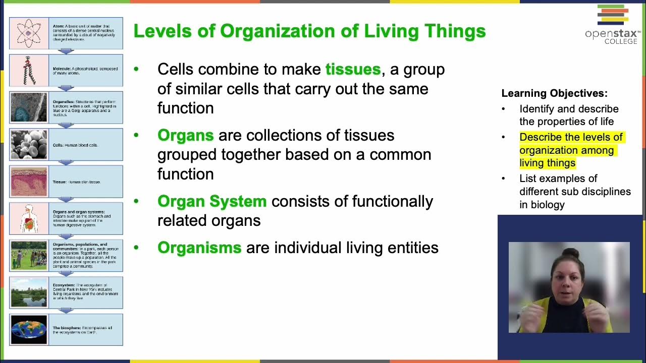 OpenStax Concepts of Biology Chapter 1.1 Part 2 - YouTube