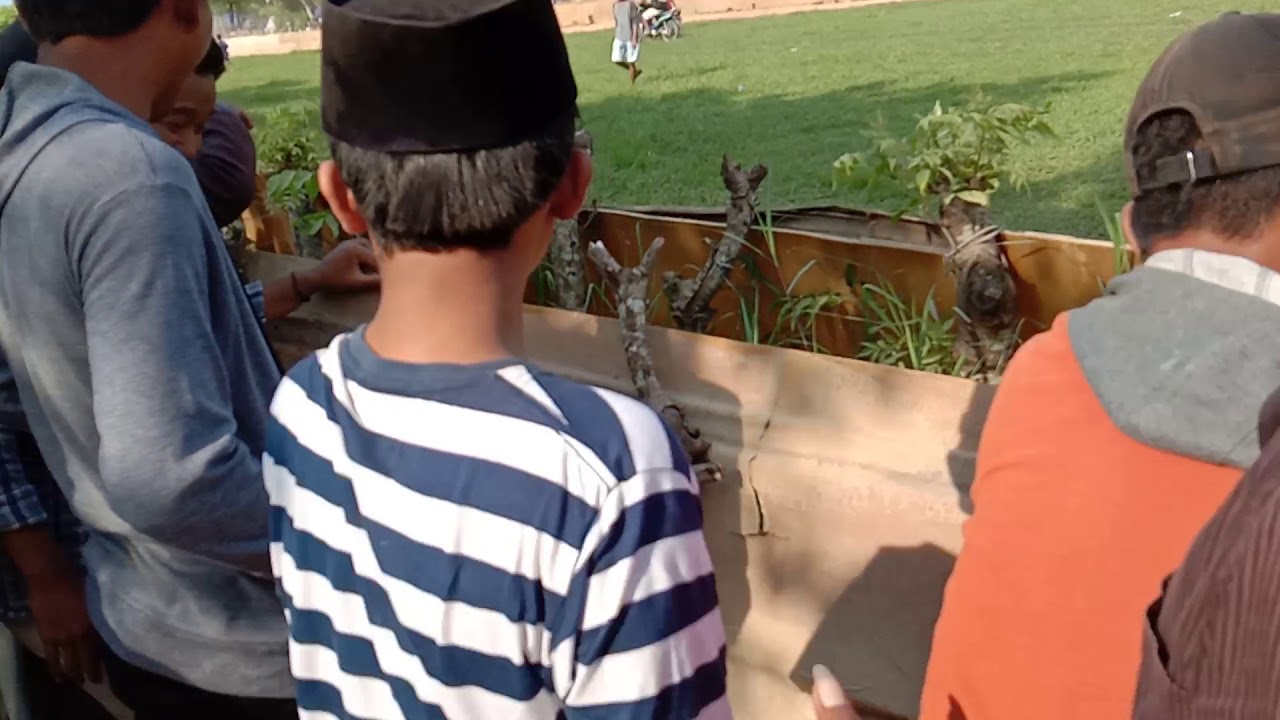 Anniversary Gagak Rimang - YouTube