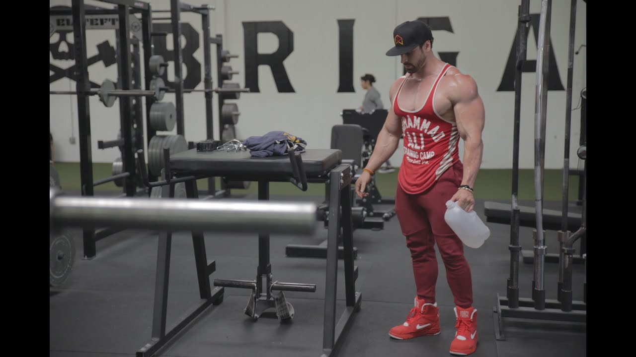Bradley Martyn | Rear Delt work | Shoulder WORK! - YouTube