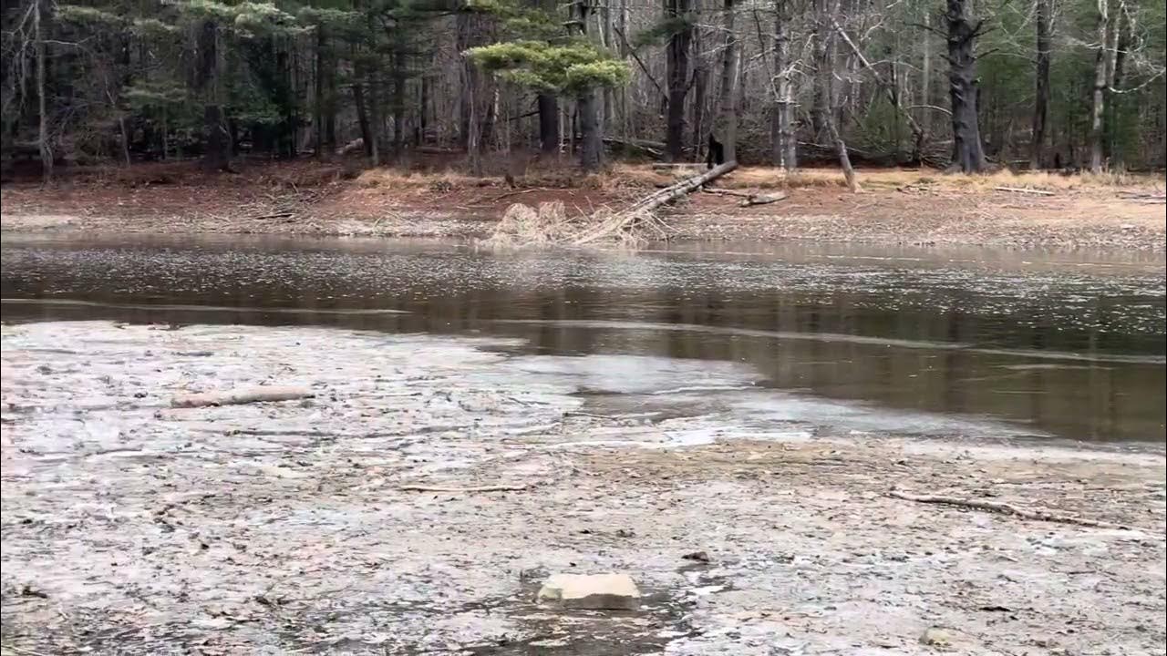 Lowest I’ve ever seen it in my lifetime - YouTube