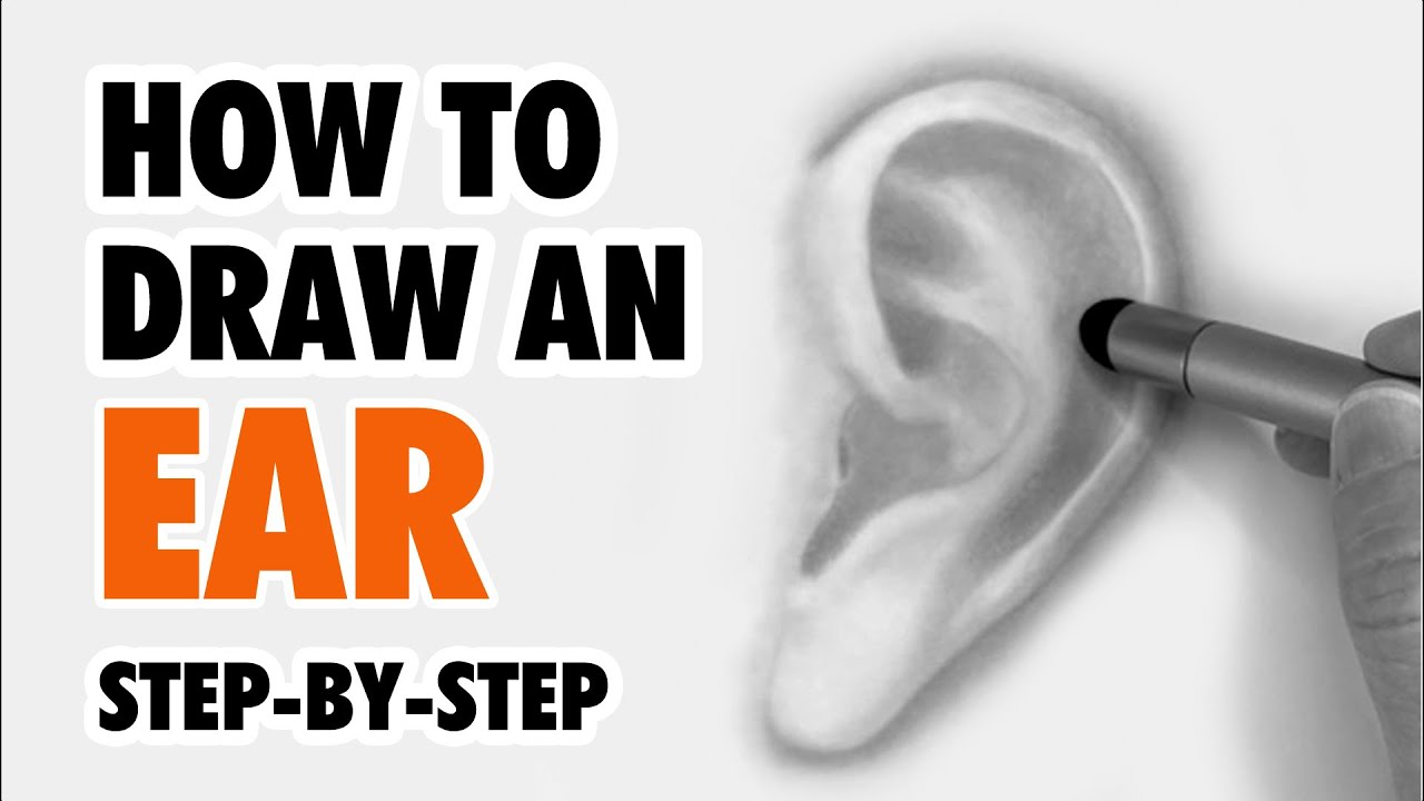 How to Draw an Ear Easy Step-by-Step for Beginners - YouTube