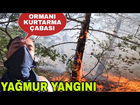 YANGIN VAR !! YAĞMURLA GELEN YANGIN~EKİP İŞİ ORMANI KURTARMAK~ZORLU MÜÇADELE