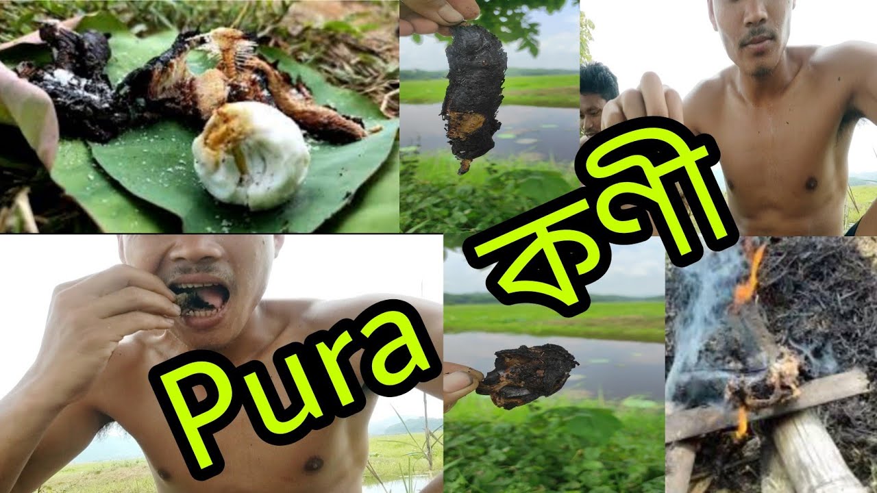 Wilderness Cooking || M.K Style Fish 🐟 Cooking..#ARSPrimitive Cooking ...