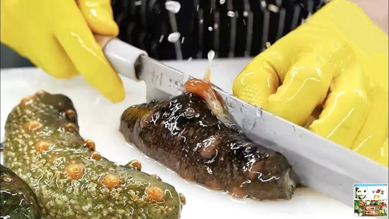 Сашими из МОРСКОГО ОГУРЦА / Sea CUCUMBER Sashimi / КОРЕЙСКАЯ Кухня ...