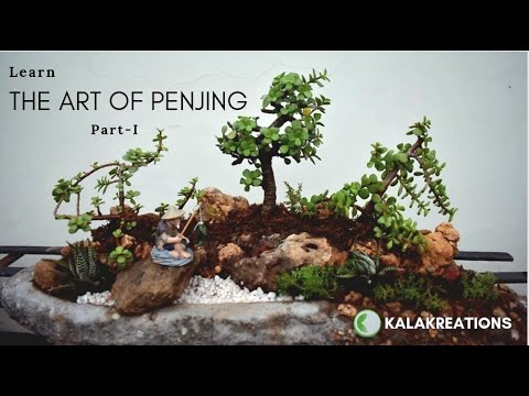 HOW TO MAKE PENJING TRAY GARDEN | DIY | ZERO COST | कैसे बनाएं पेंजिंग ...