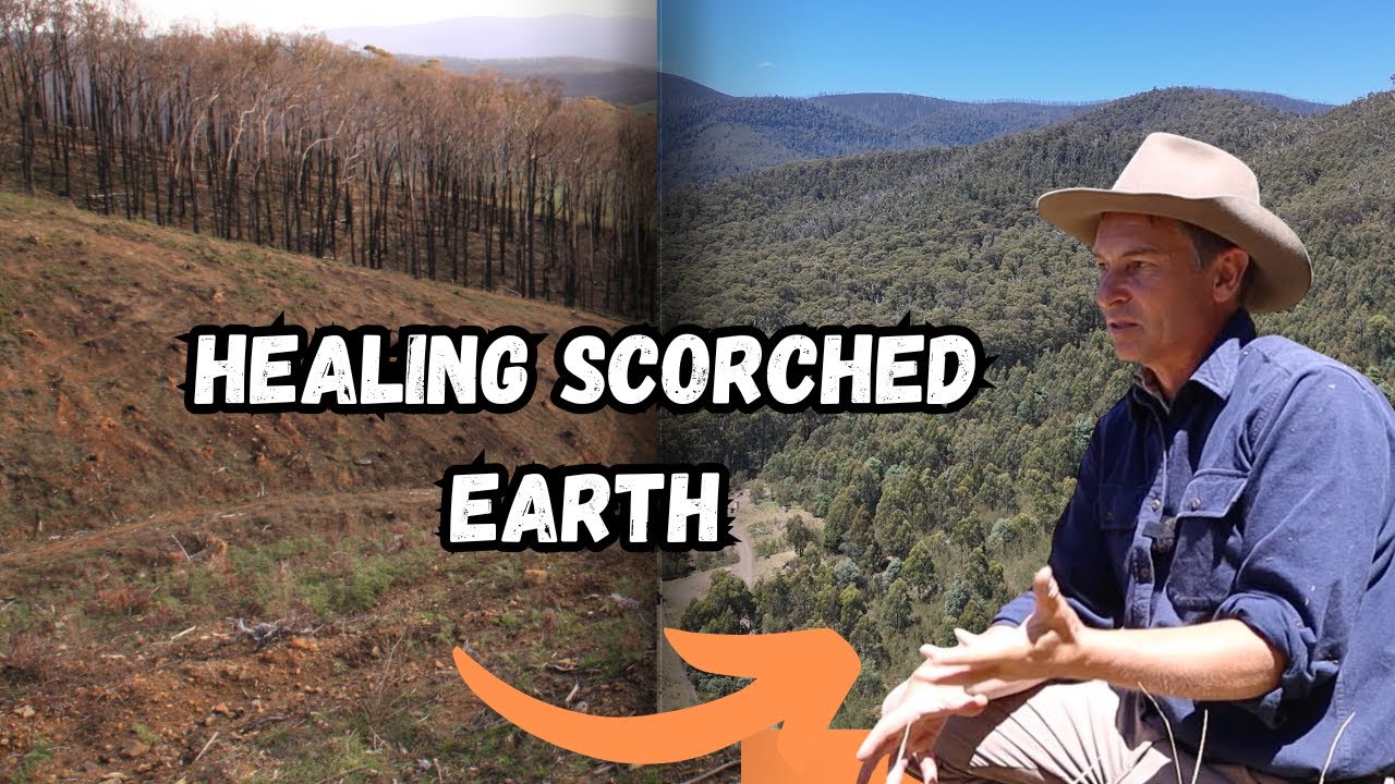 Restoring Burned Land With Clever Landscape Management | Tim Thompson