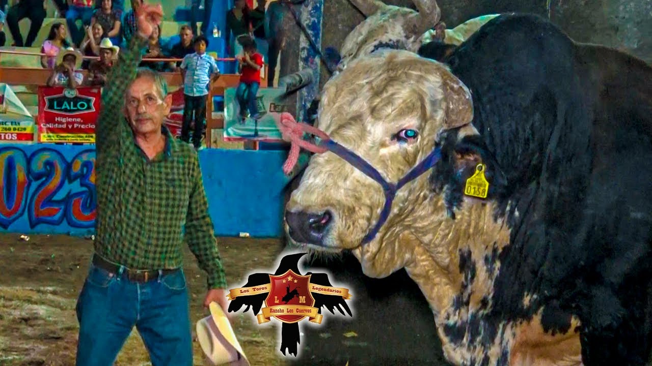 BICAMPEONES RANCHO LOS CUERVOS DE LUCAS MONTOYA/LA FINAL RANCHO DE ...