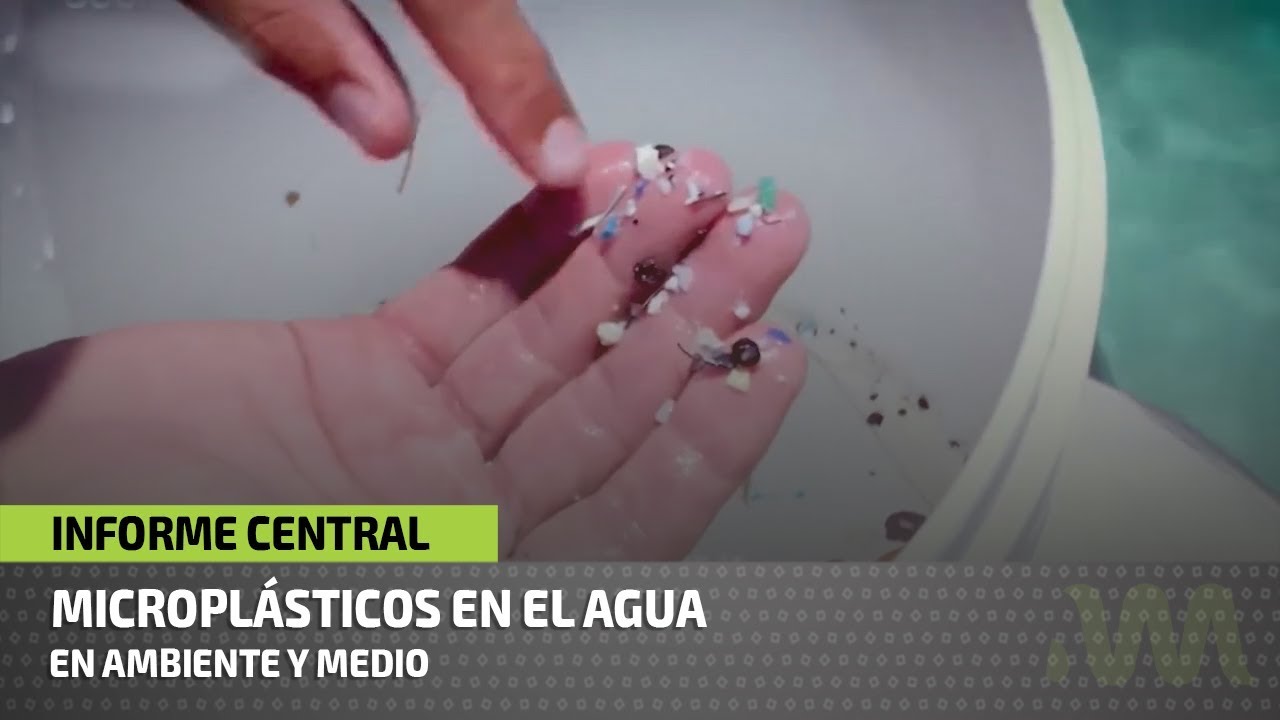 Informe central - Microplásticos en el agua - YouTube