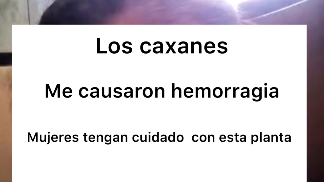 Los cachanes planta peligrosa tengan cuidado mujeres - YouTube