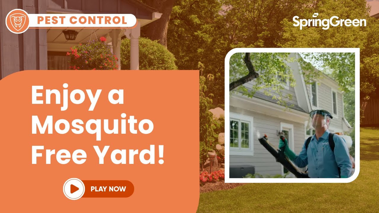 Spring Green Mosquito Control | Spring Green - YouTube