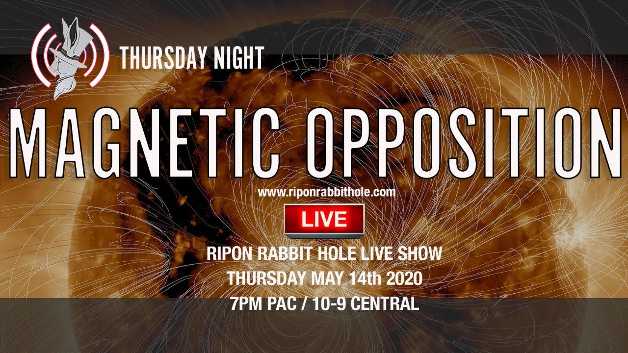RIPON RABBIT HOLE LIVE - MAGNETIC OPPOSITION - YouTube