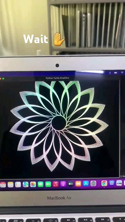 Python Turtle Graphics Cod Python Codinglife Hacker Coder Youtube