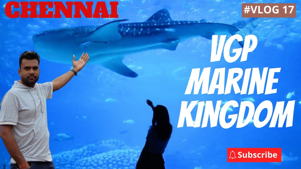 VGP MARINE KINGDOM | AQUARIUM HOUSING | SHARK TANK | CHENNAI - YouTube