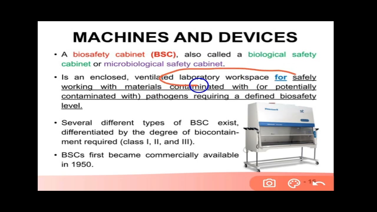 Roles & Responsibilities of MLT | BVMLT-201 Basic Concepts of MLT II ...