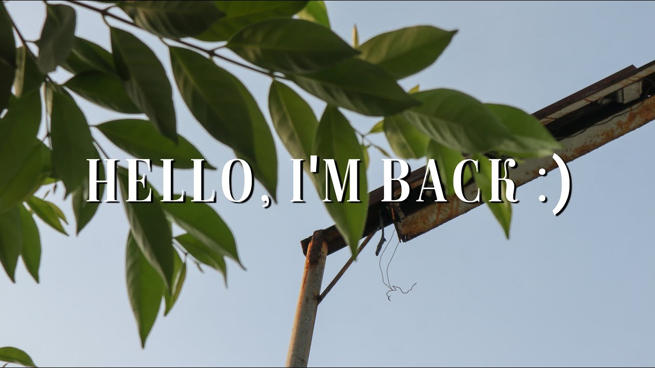 Hello, I'm back :) - YouTube
