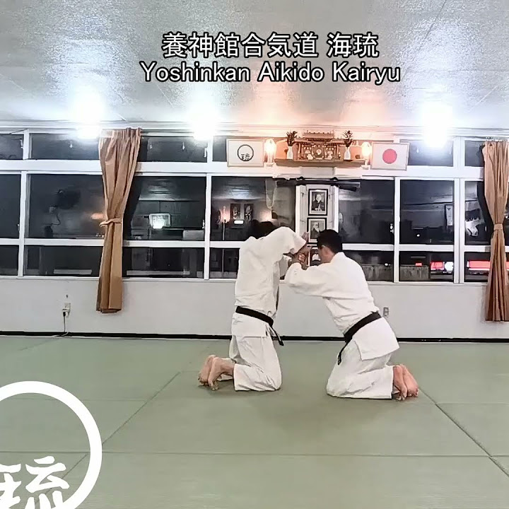 座技両手持ち三ヶ条抑え（一）Suwari waza Ryote mochi Sankajo osae 1#shorts #aikido #martialarts #wizards - YouTube