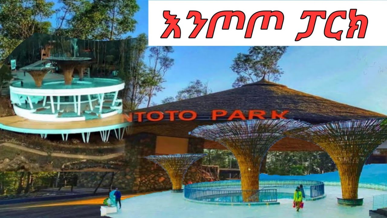 ዛሬ የአንጦጦ ፓርክን ሙሉ ገፅታ ላሳያችሁ !! #entoto park - YouTube