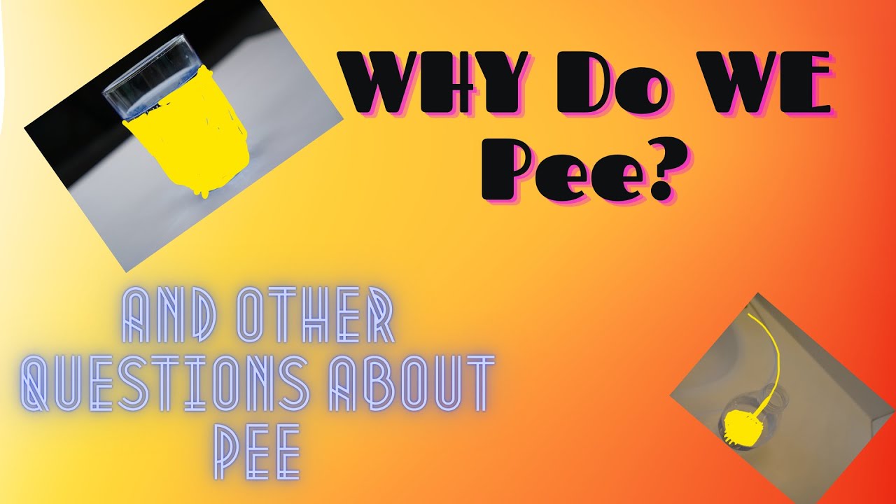 Why Do We Pee In The Bed at Margret Rodriguez blog