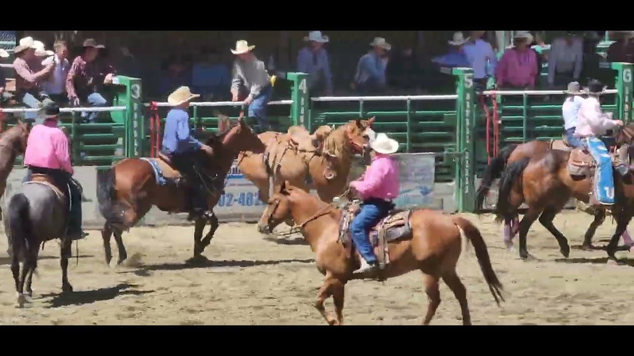 Rowell Ranch Rodeo 2022 - Saddle Bronc Riding (1) - YouTube