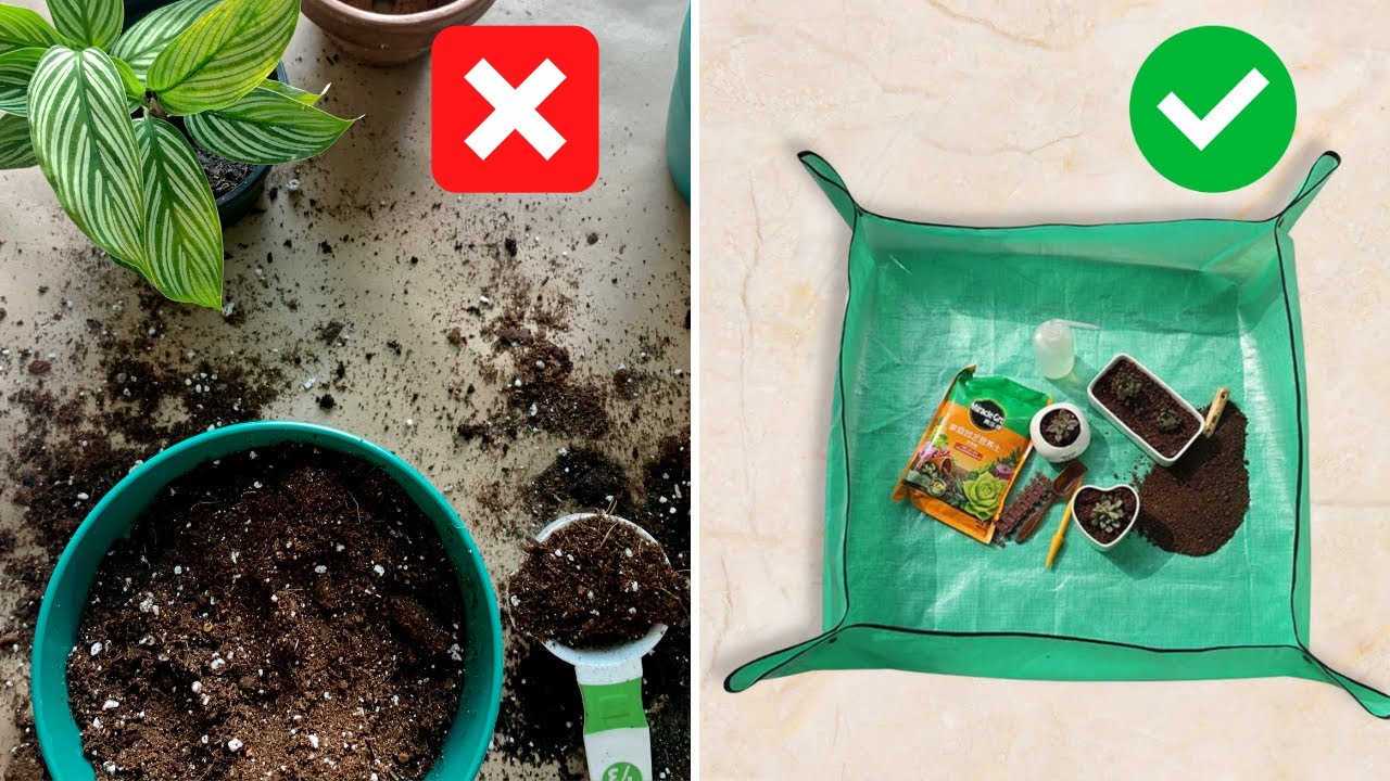 10 Genius Plant Gadgets You Didn't Know You Needed - YouTube