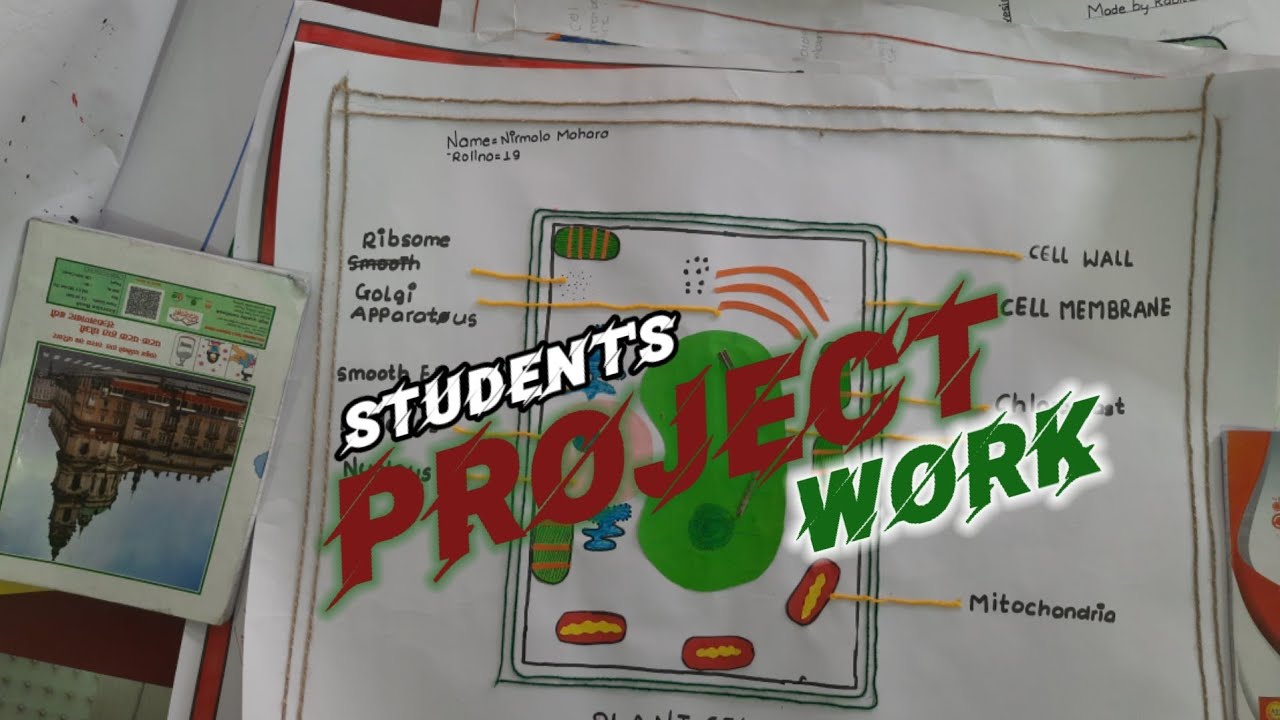 Student's Project Work || Random video || - YouTube