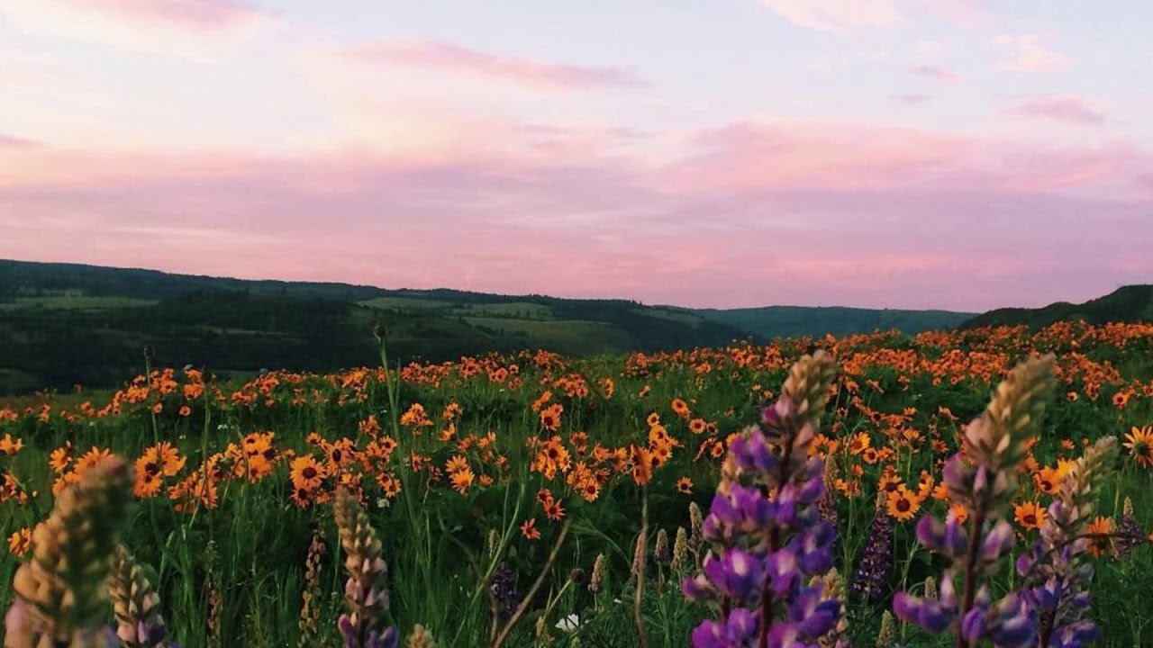 you're somebody else - flora cash / slowed down / 1 hour - YouTube Music