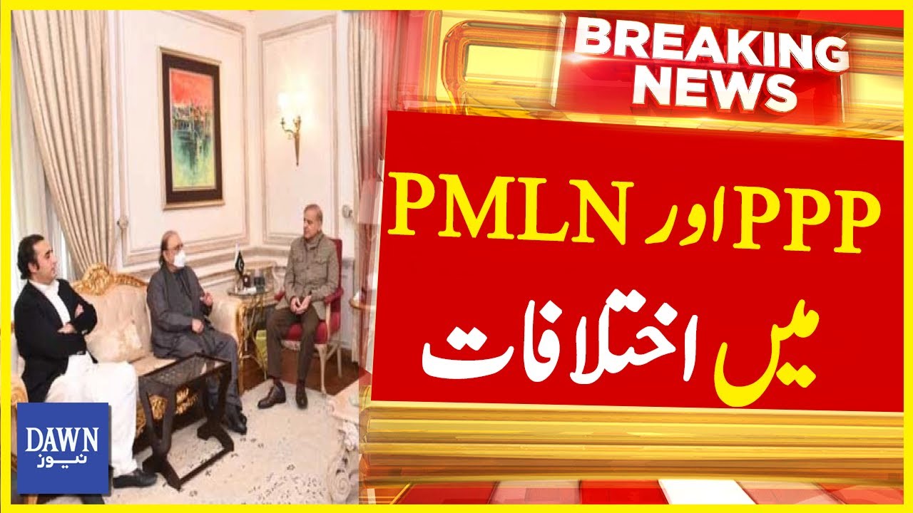 Big Difference in Opinion: PPP & PMLN Debate on Privatization Matter ...