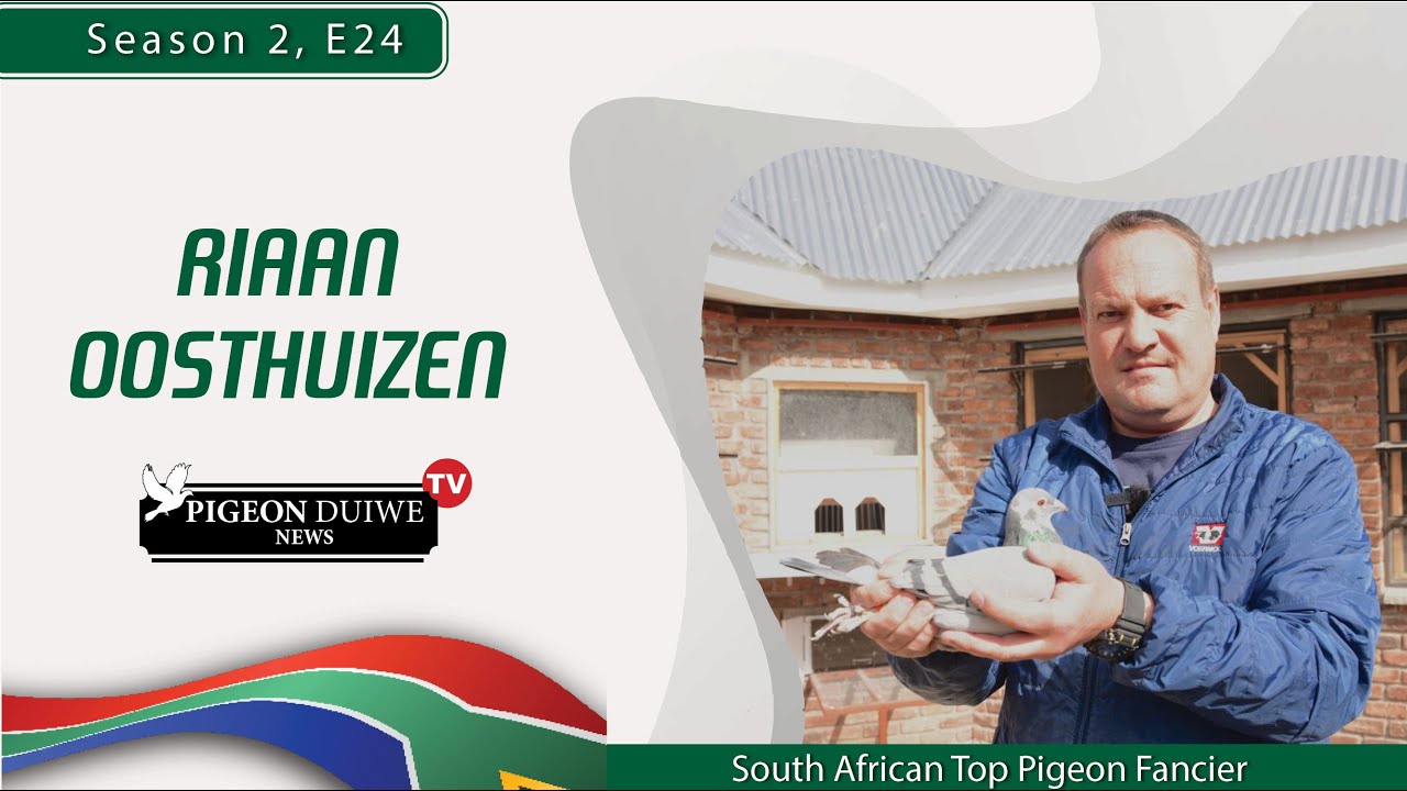 Pigeon Duiwe News TV- RIAAN OOSTHUIZEN - S2: E24 - YouTube