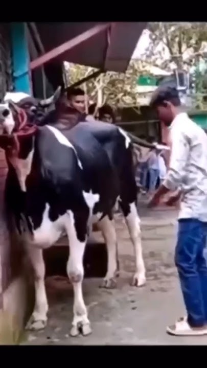 ek ke sath ek free - YouTube