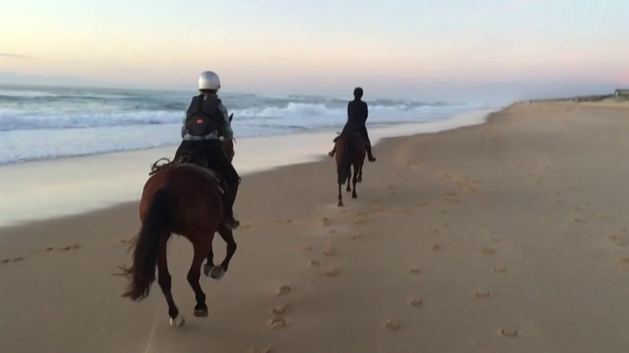 Slow motion sunset gallop on the beach - YouTube