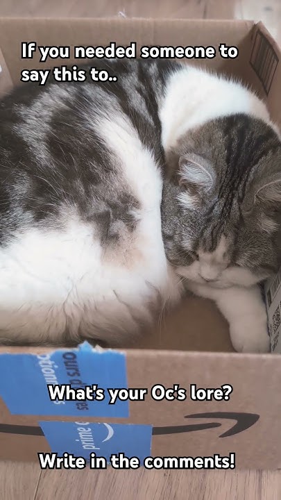 I wanna hear some interesting plot lines from you! #oc #plot #lore ...