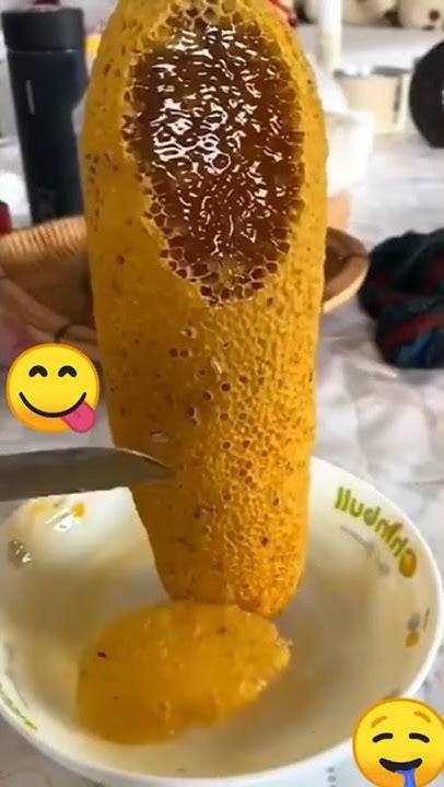 Honey 🍯🍯 Compilation Wild Honey 🍯 Harvesting Satisfying Video 👍🏻👍🏻👍🏻 ️