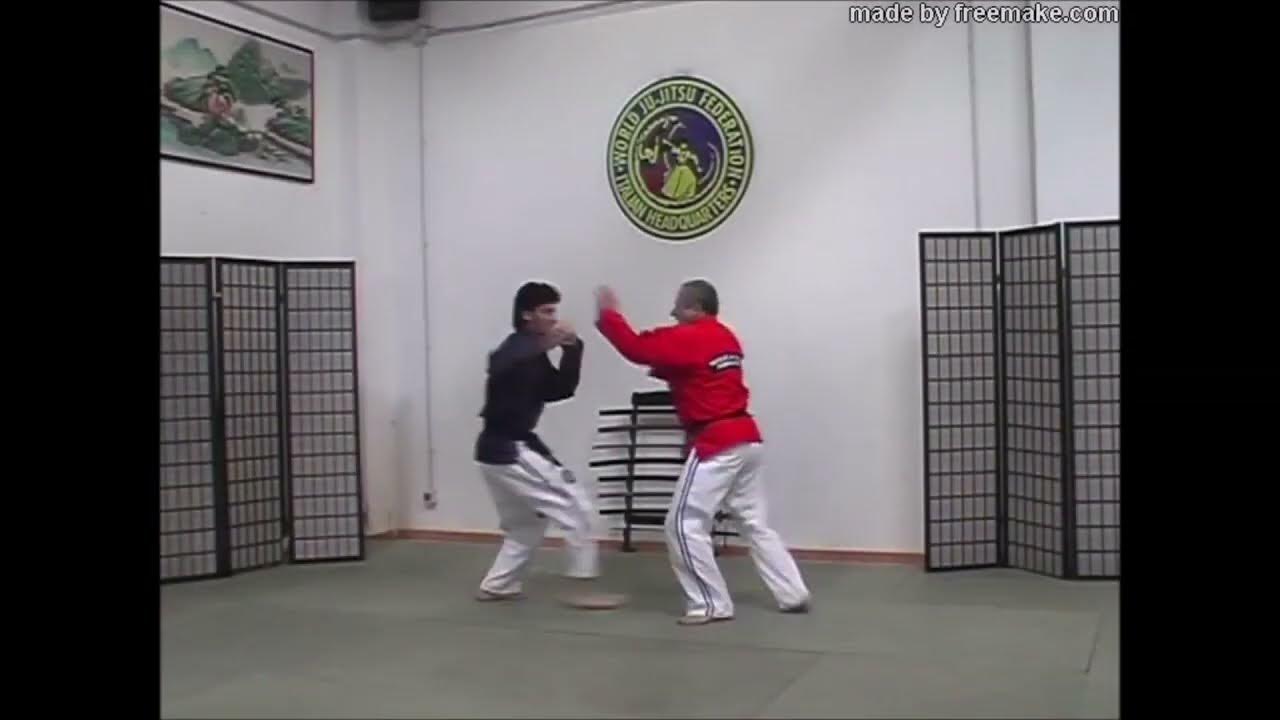 15d - WJJF / JUKO RYU Jujutsu - Kata / Techniques for orange belt (by MAURIZIO SILVESTRI) - YouTube