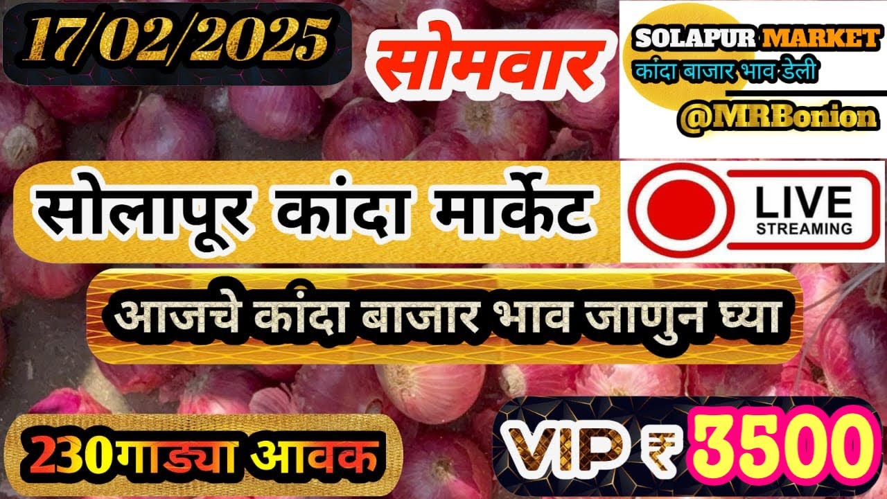 सोलापूर कांदा मार्केट आजचे भाव ️VIP ₹3500 ️ Solapur Kanda market aaj ka - YouTube
