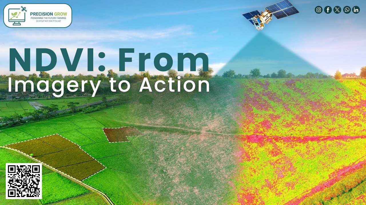 !! The Power of NDVI: Actionable Insights from Imagery !! - YouTube