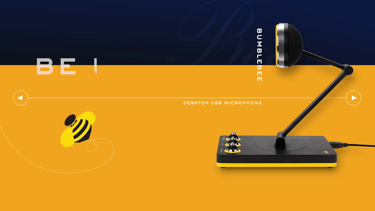 FLIGHT OF THE BUMBLEBEE - NEAT MICROPHONES - YouTube