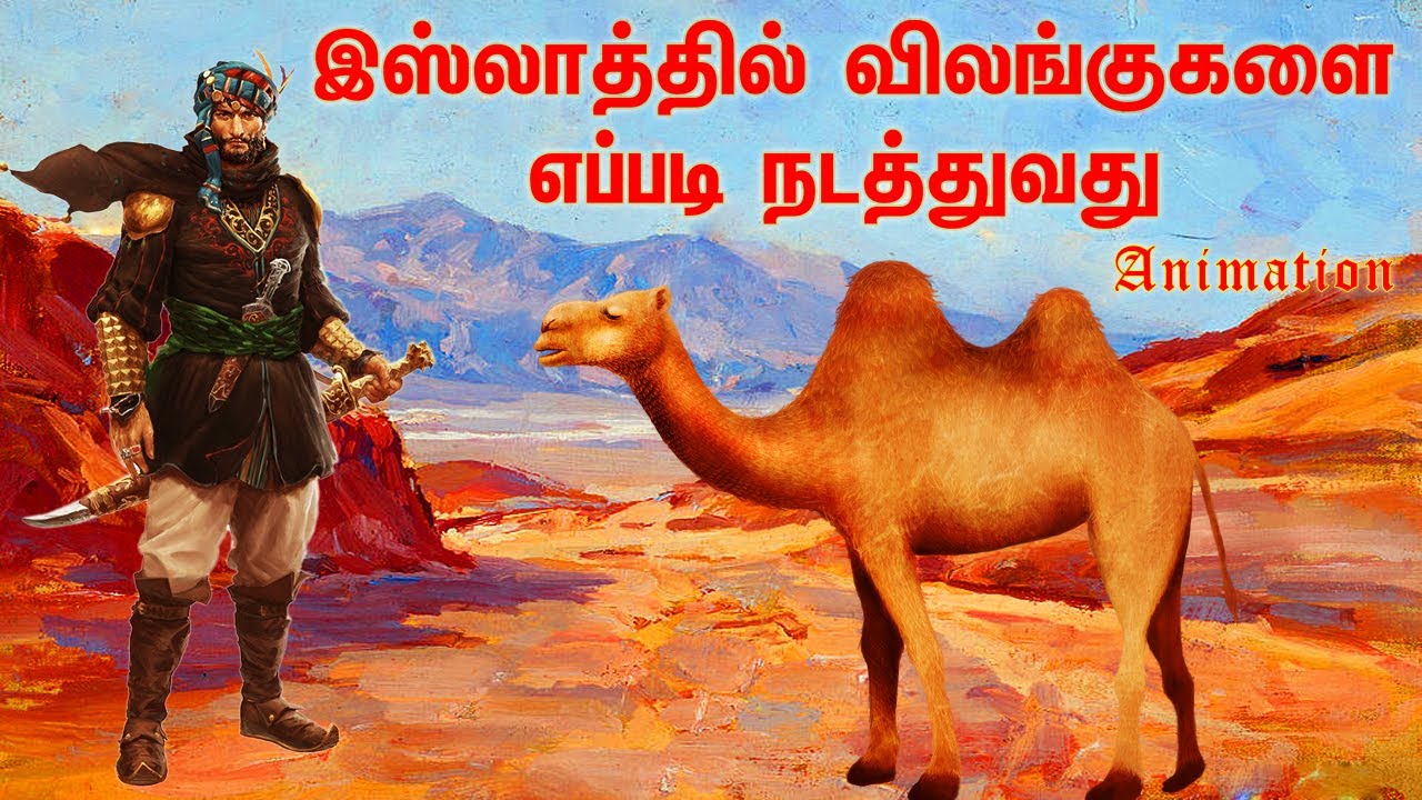 இஸ்லாத்தில் விலங்குகளை எப்படி நடத்துவது | How to treat animals in Islam ...